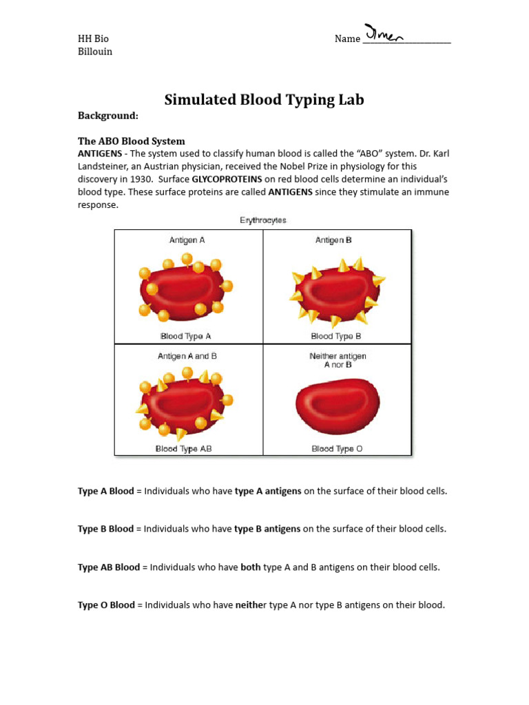 Blood Typing Quick Lab | PDF