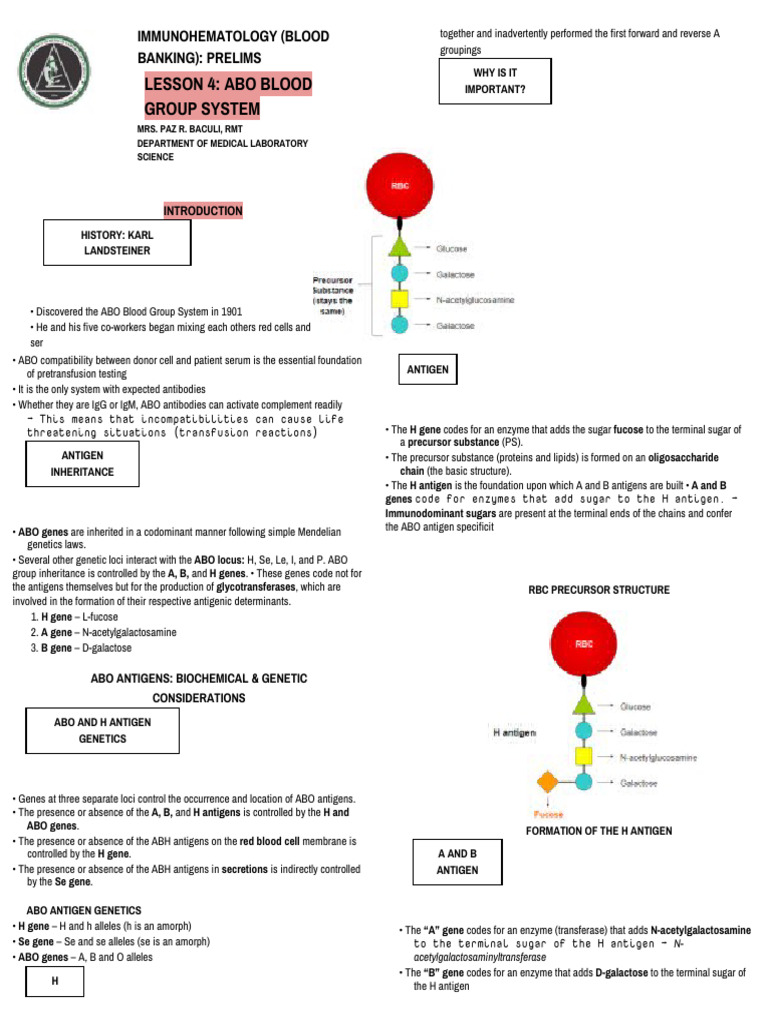 BB - Lesson 4 ABO Blood Group System | PDF | Blood Type | Clinical ...