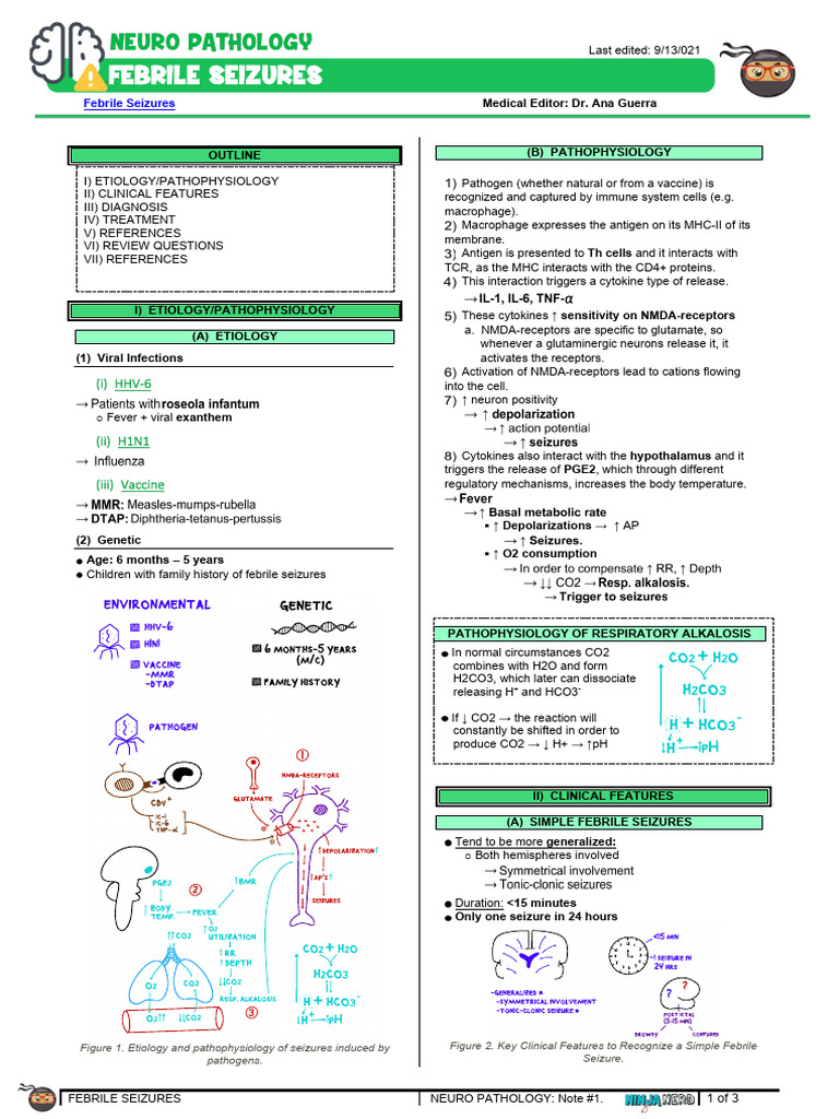 Febrile Seizures Etiology, Pathophysiology, Clinical Features ...