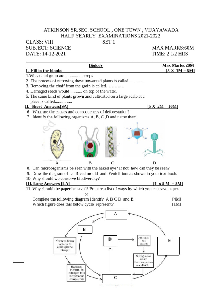 Half Yearly Viii Classs Dec Exam Set 1 | PDF | Friction | Fuels