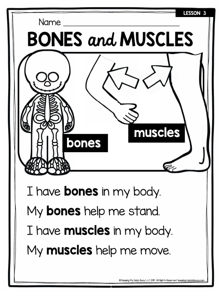Body Booklet | PDF