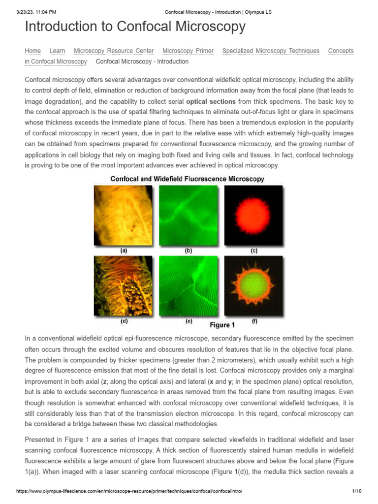 Confocal Microscopy - Introduction - Olympus LS | PDF | Microscopy | Confocal Microscopy