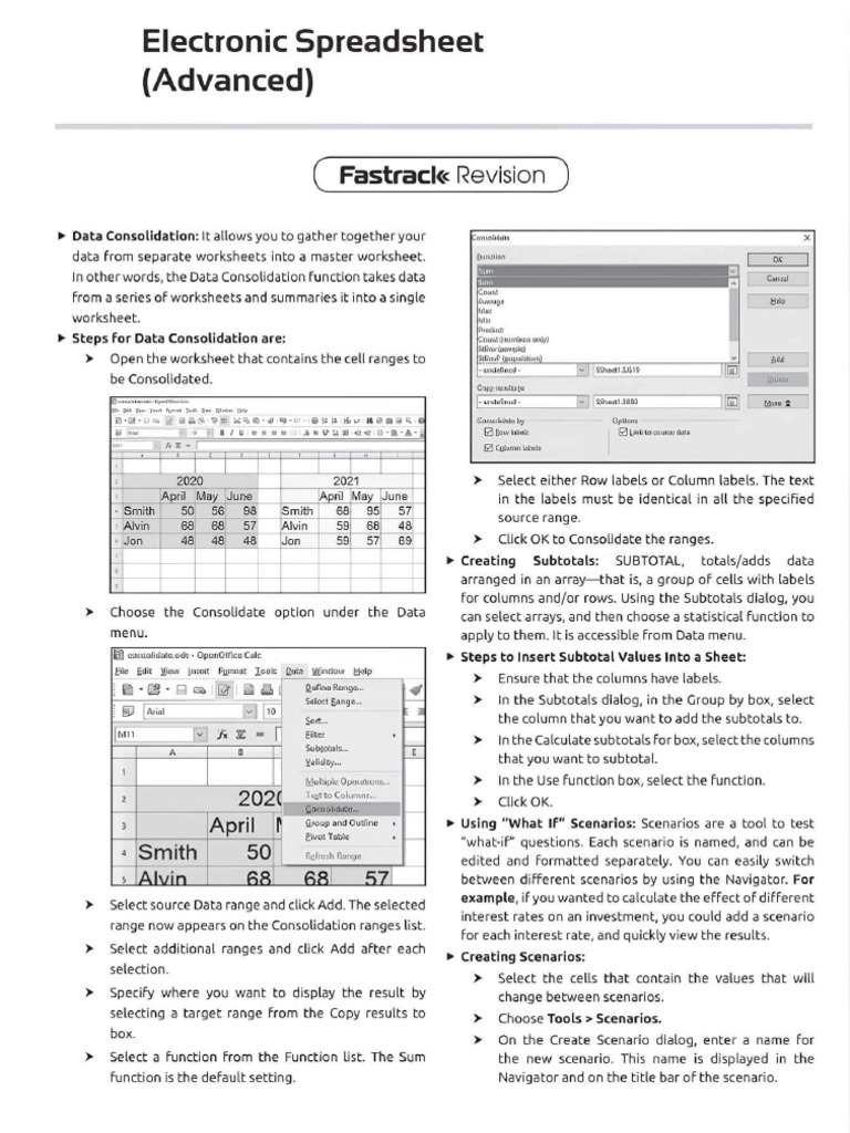 Electronic_Spreadsheet[1] | PDF