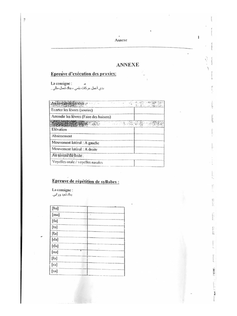 Test of Articulation and Phonology | PDF
