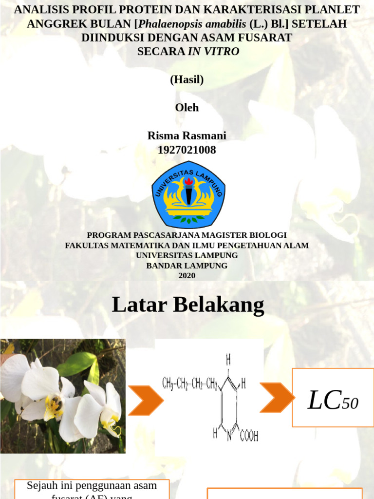Analisis Profil Protein Dan Karakterisasi Planlet Anggrek Bulan | PDF