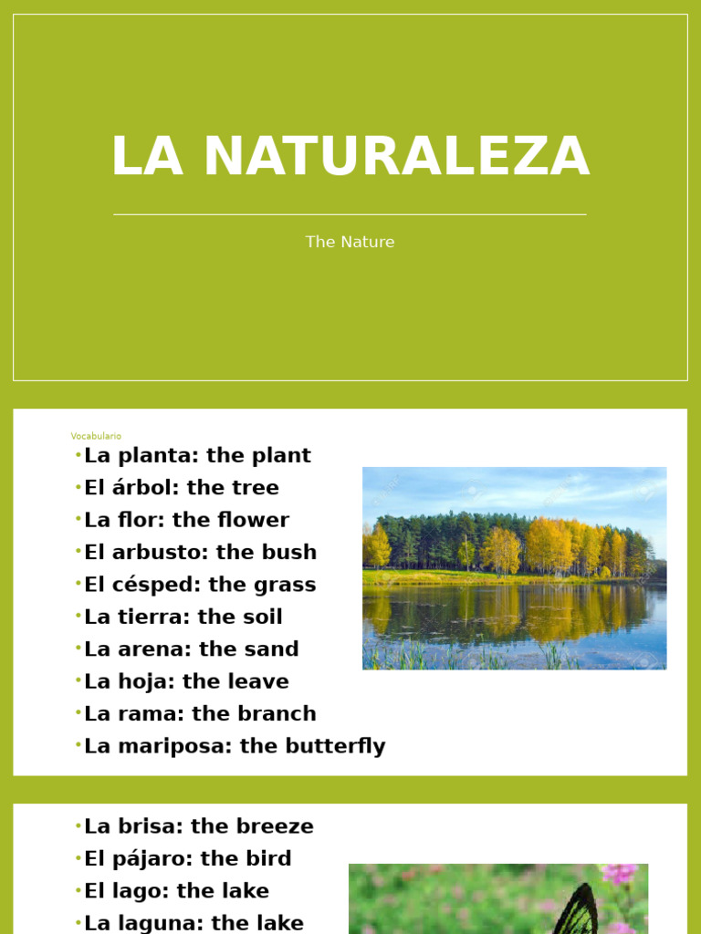5th La Naturaleza | PDF