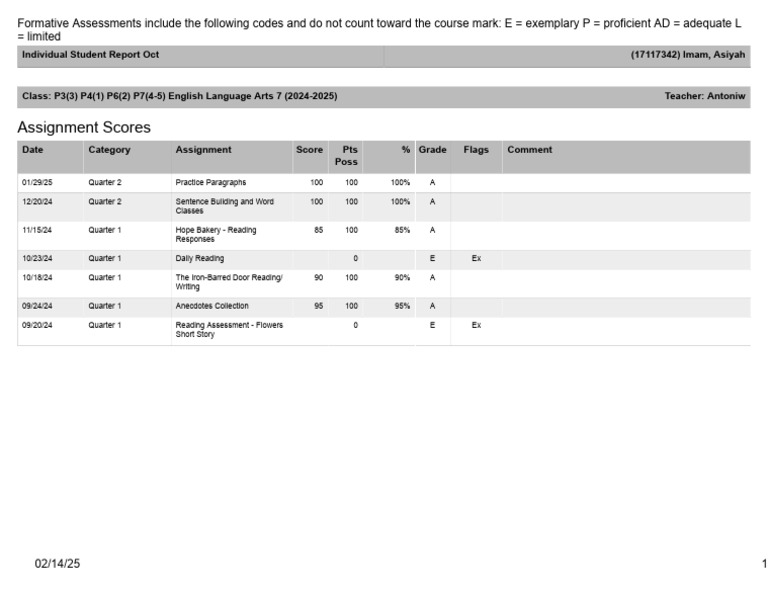 English Language Arts 7 | PDF