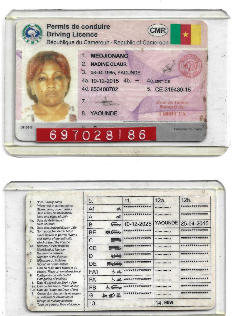 Permi MEDJIONANG 2 | PDF