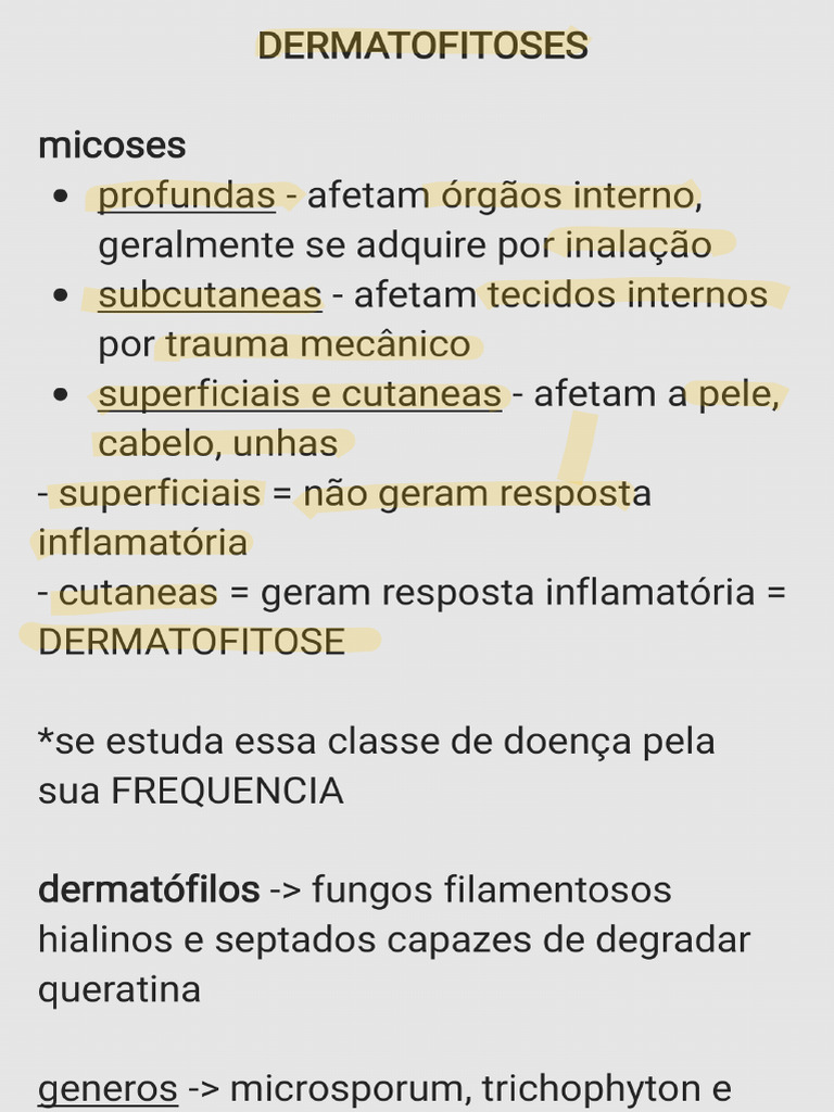 Resumo NP2 - 241111 - 230724 | PDF