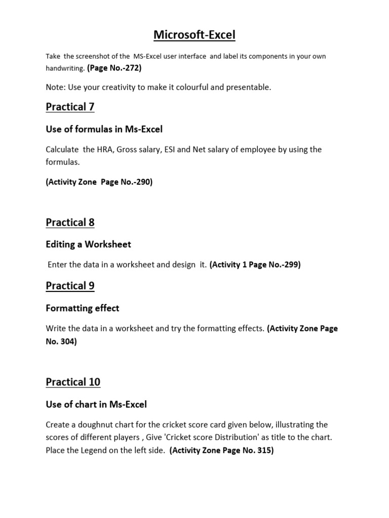 Ms-Excel Practical Class IX 2024-25 | PDF