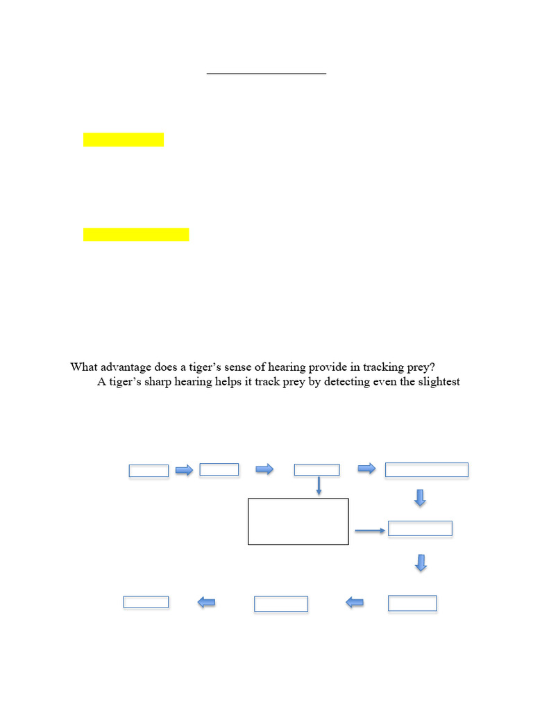 Practice Sheet 3 Answer Key | PDF | Water Conservation | Irrigation