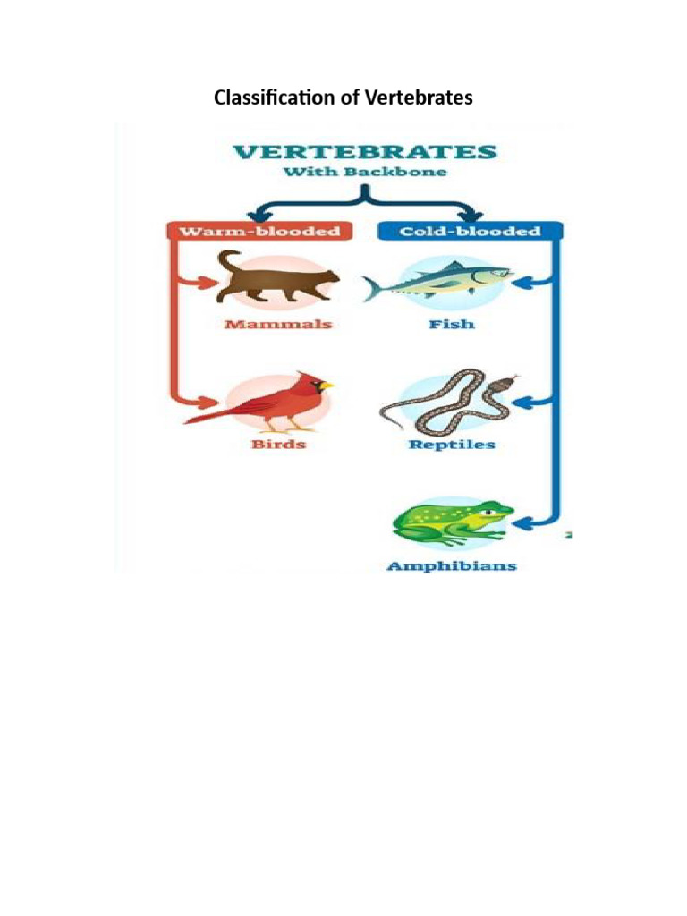 Classification of Vertebrates | PDF