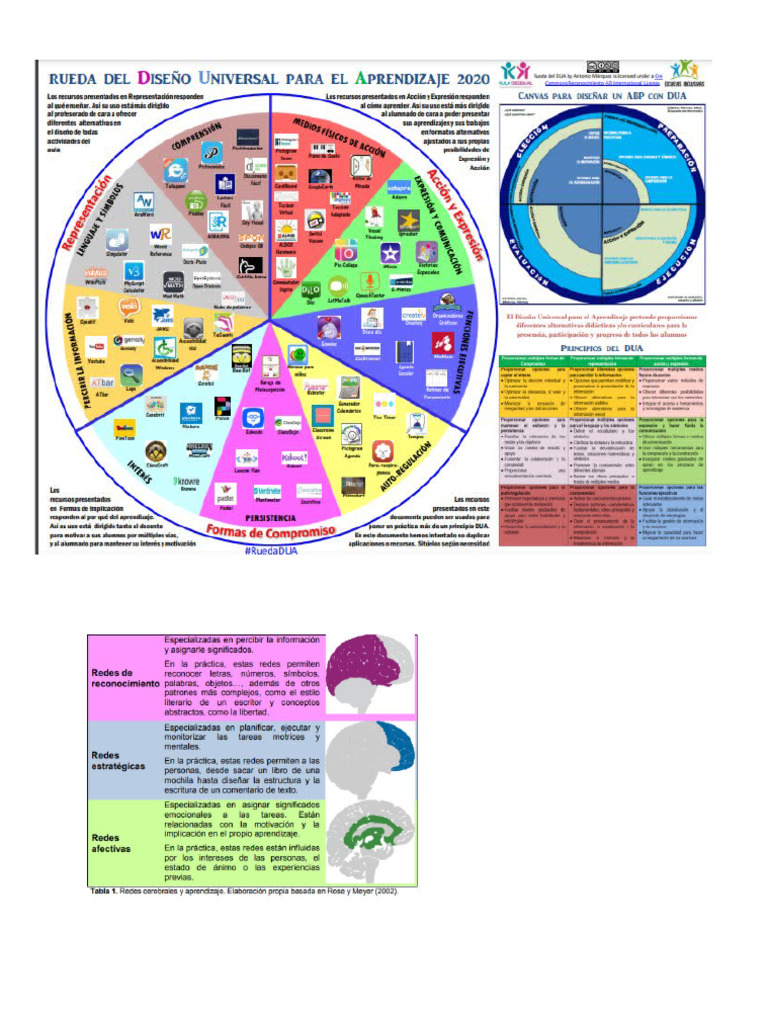 CUADROS INFORMATIVOS DEL DUA 2022 | PDF