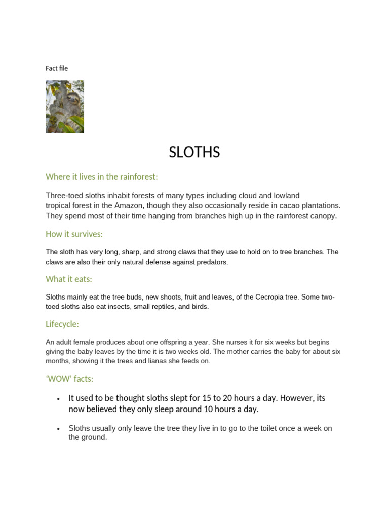 Sloth Fact File | PDF