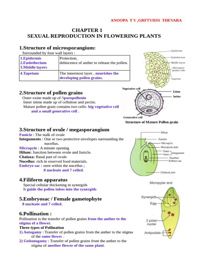 +2 Botany Points To Remember | PDF | Food Web | Flowers