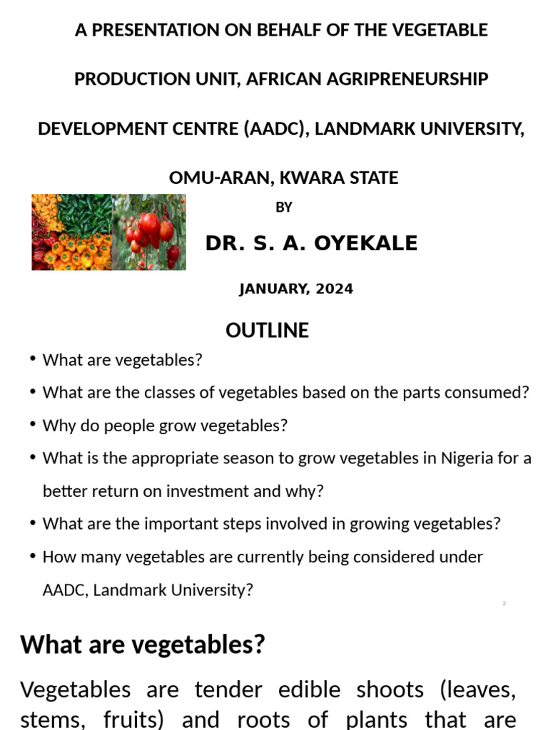 Vegetable Production Guide in Nigeria | PDF | Vegetables | Sowing