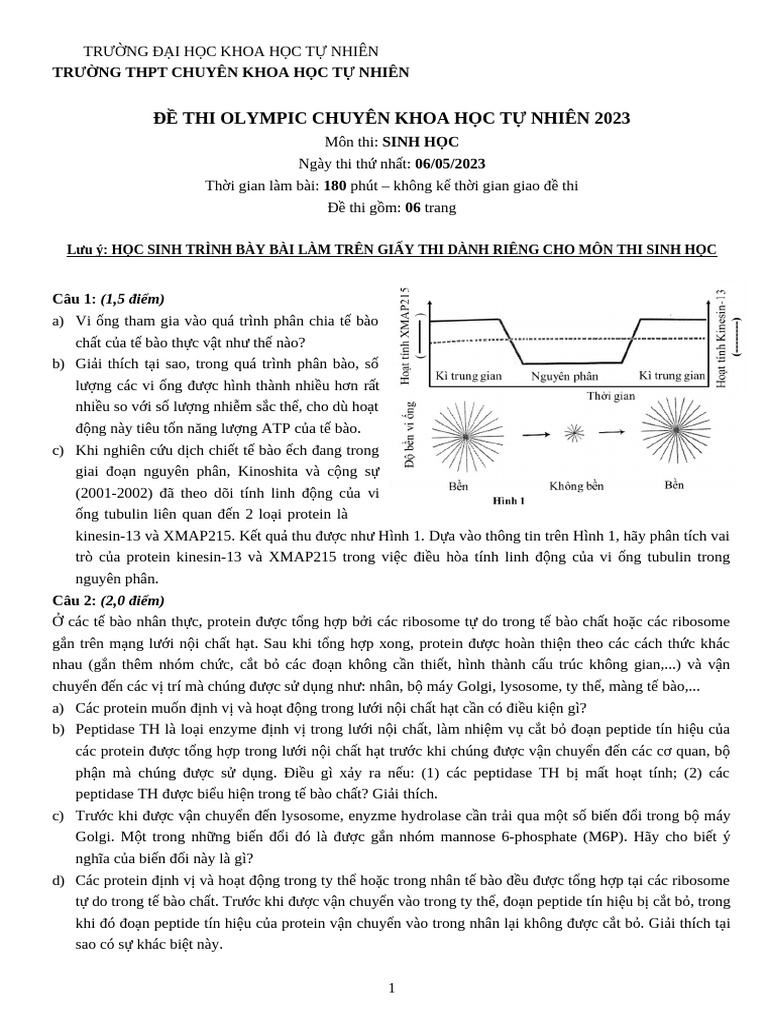 Hsgso2023-Sinh-De 01 | PDF