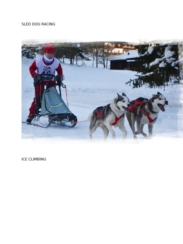 Winter Sports Activity | PDF