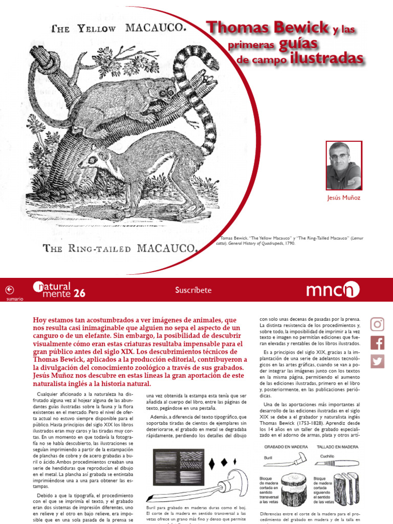 Thomas Bewick | PDF | Grabado | Artes Decorativas