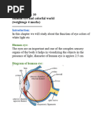 Class10 Human Eye Notes | PDF | Eye | Human Eye