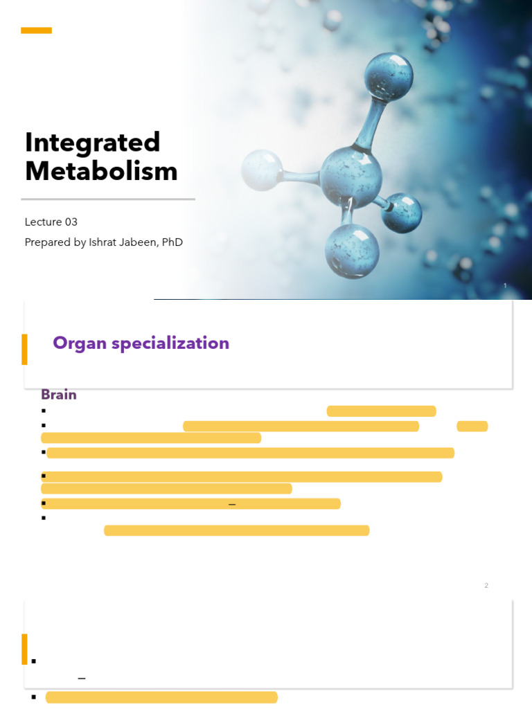 Integrated Metabolism_Lec03 | PDF | Adipose Tissue | Skeletal Muscle