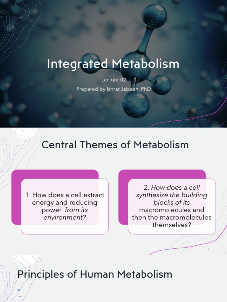Integrated Metabolism - Lec02 | PDF | Metabolic Pathway | Metabolism
