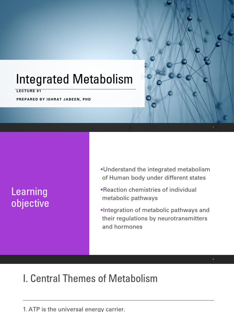 Integrated Metabolism - Lec01 | PDF | Metabolism | Glycolysis