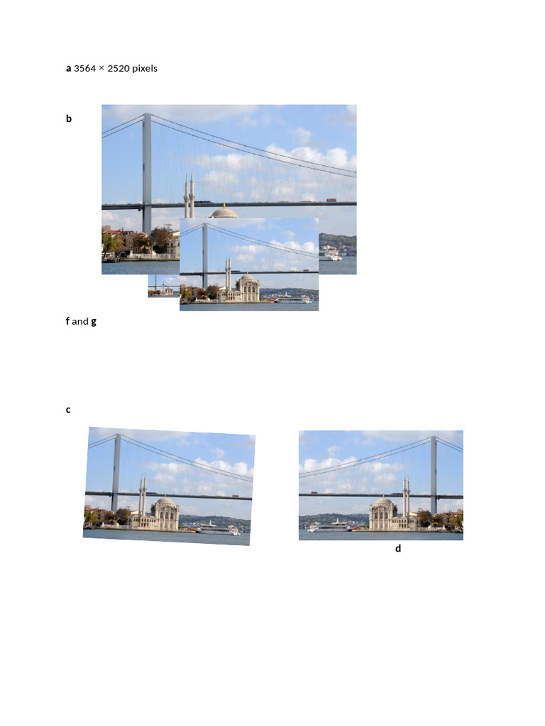 IGCSE ICT Chapter 12 Q1 - Answer | PDF