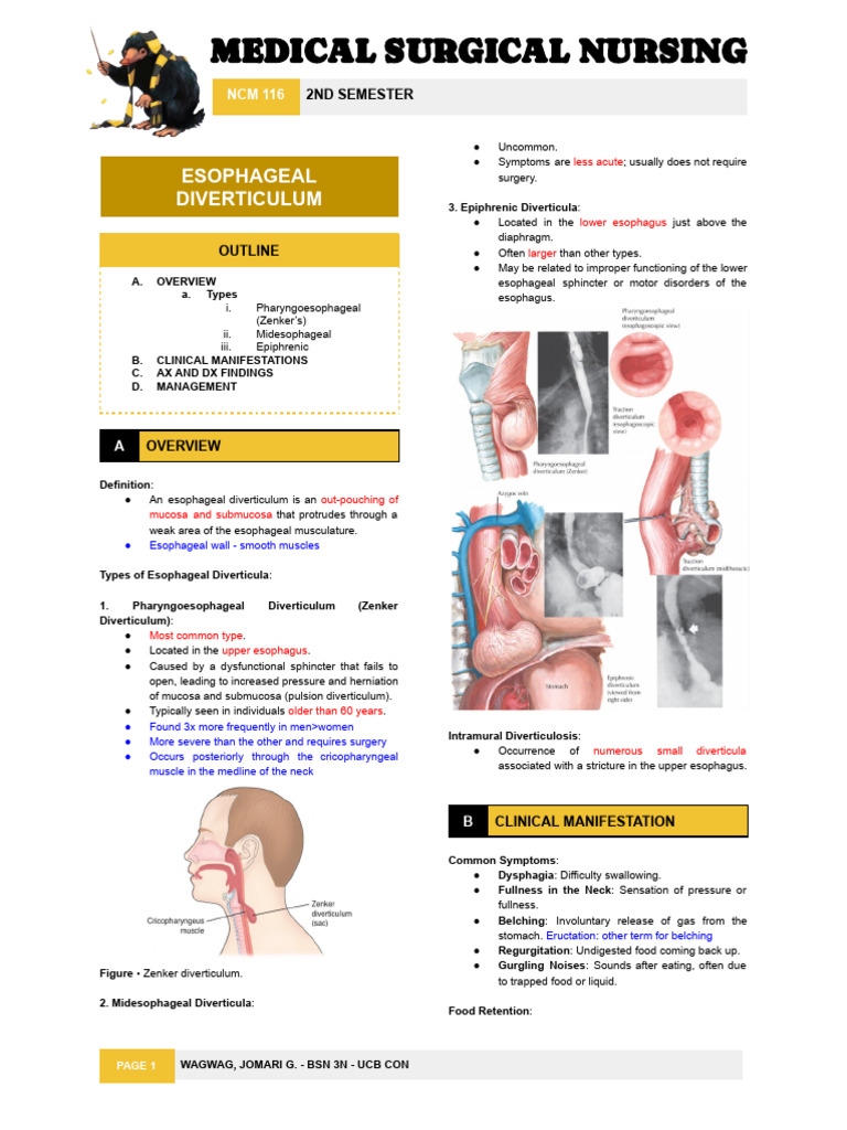GI - ESOPHAGEAL DIVERTICULUM (MS) | PDF | Esophagus | Gastroenterology