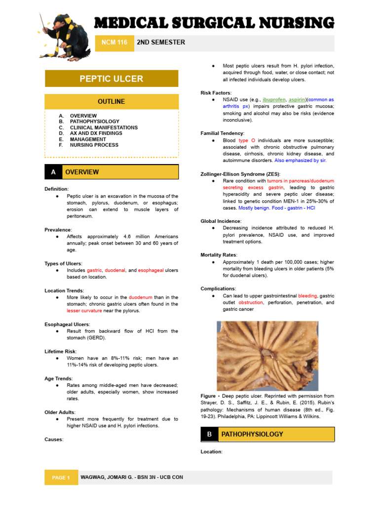 Understanding Peptic Ulcers: Causes & Care | PDF | Stomach | Diseases ...