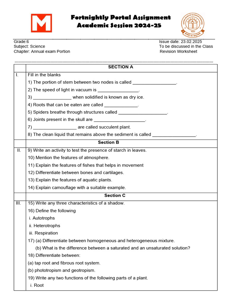 Gr6 - Updated Revision Worksheet | PDF