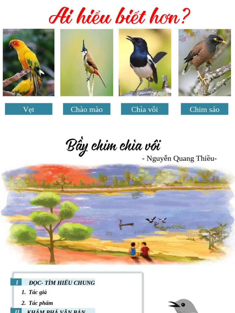 1.2 BẦY CHIM CHÌA VÔI | PDF