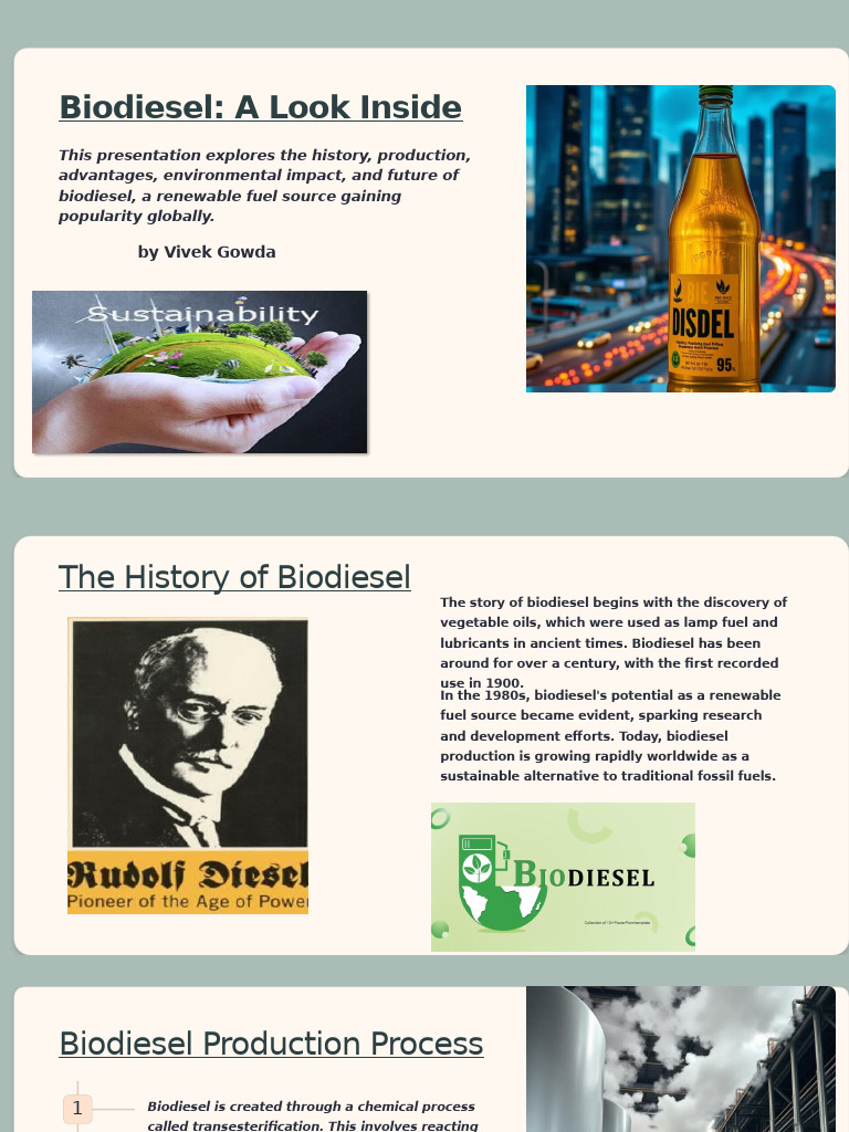 Biodiesel A Look Inside | PDF | Biodiesel | Diesel Fuel