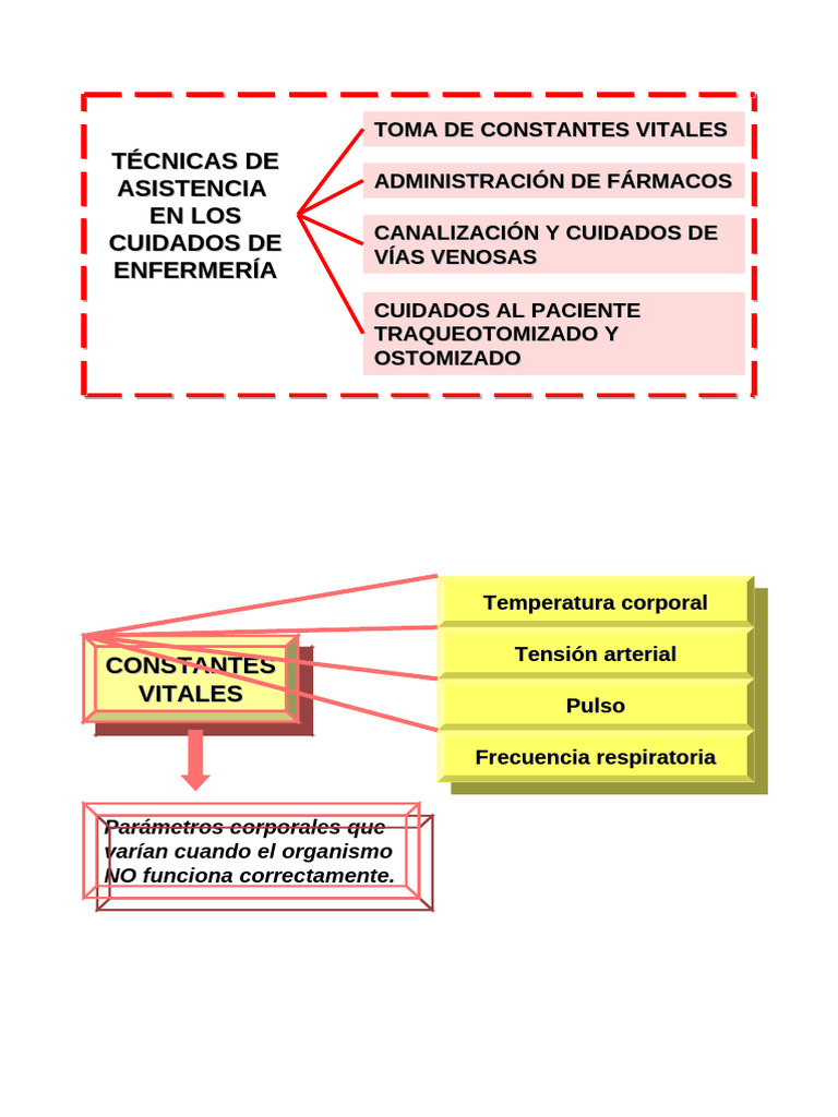 Modulo4 Ud4 | PDF | Legumbres | Corazón