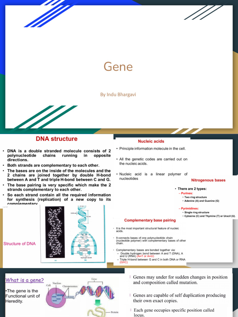 Gene | PDF