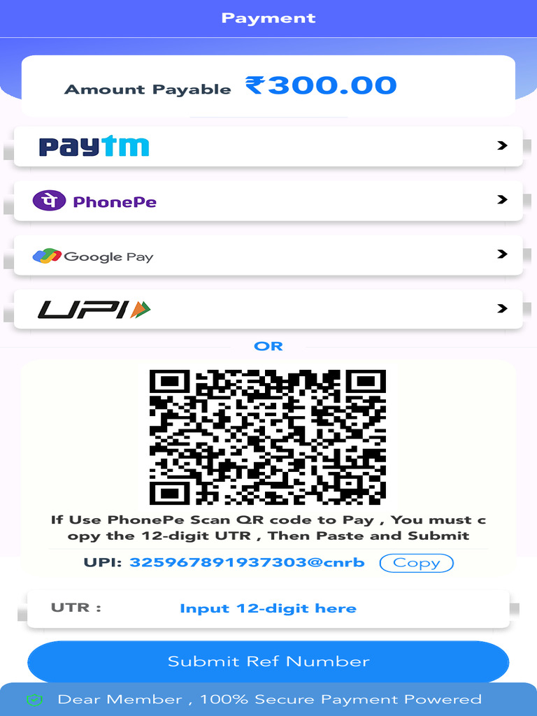 Secure Payment Instructions | PDF