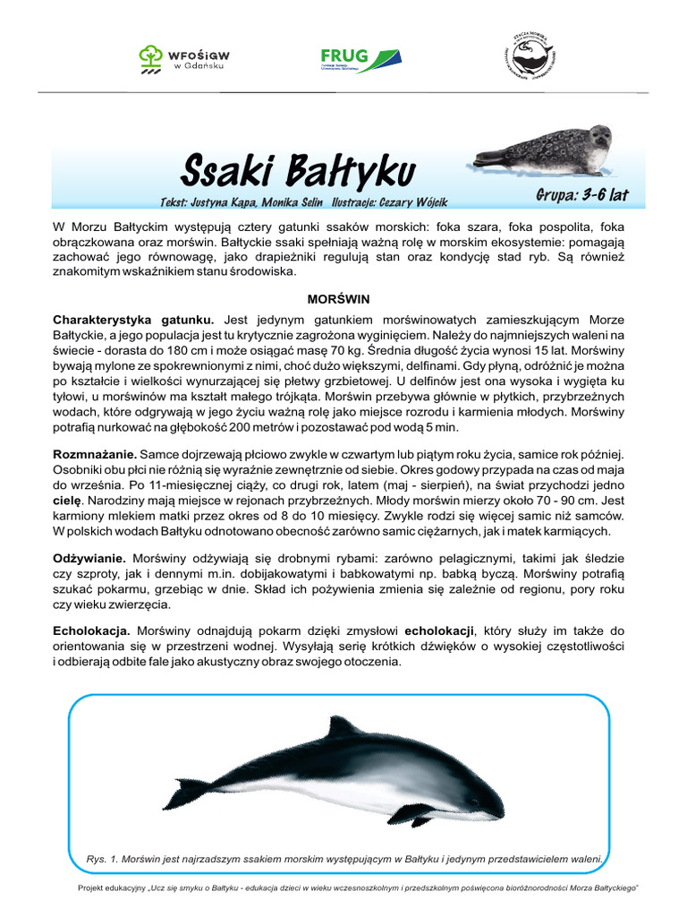 skrypt_ssaki_Baltyku_3_6_lat | PDF