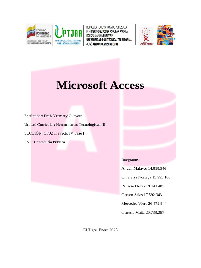 Funciones Clave de Microsoft Access | PDF | Bases de datos | Datos