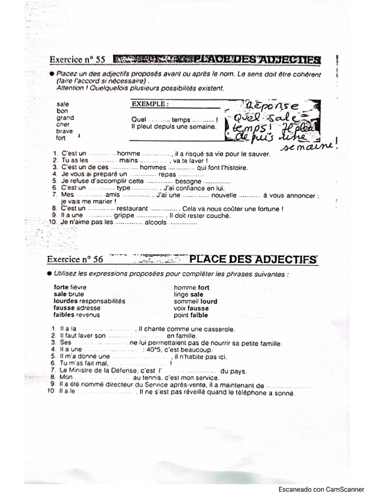 Place des adjectifs (1) | PDF