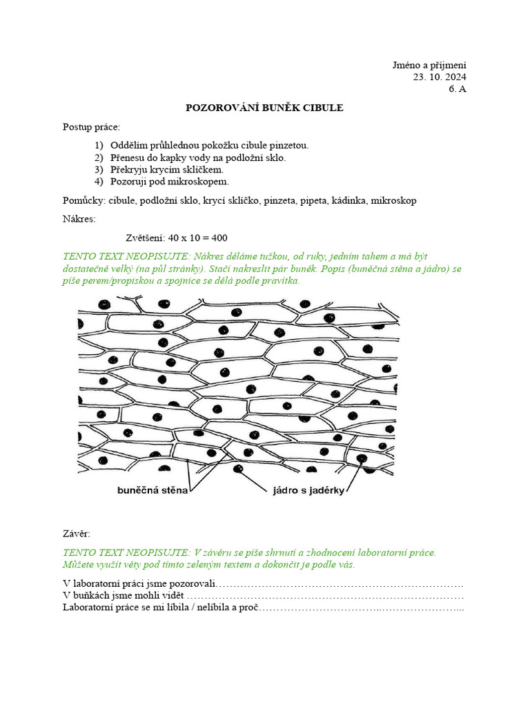 Laboratorní Protokol Buňky Cibule | PDF