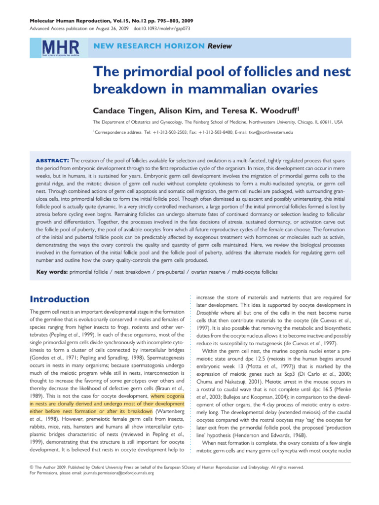 The Primordial Pool of Follicles and Nest | PDF | Ovary | Meiosis