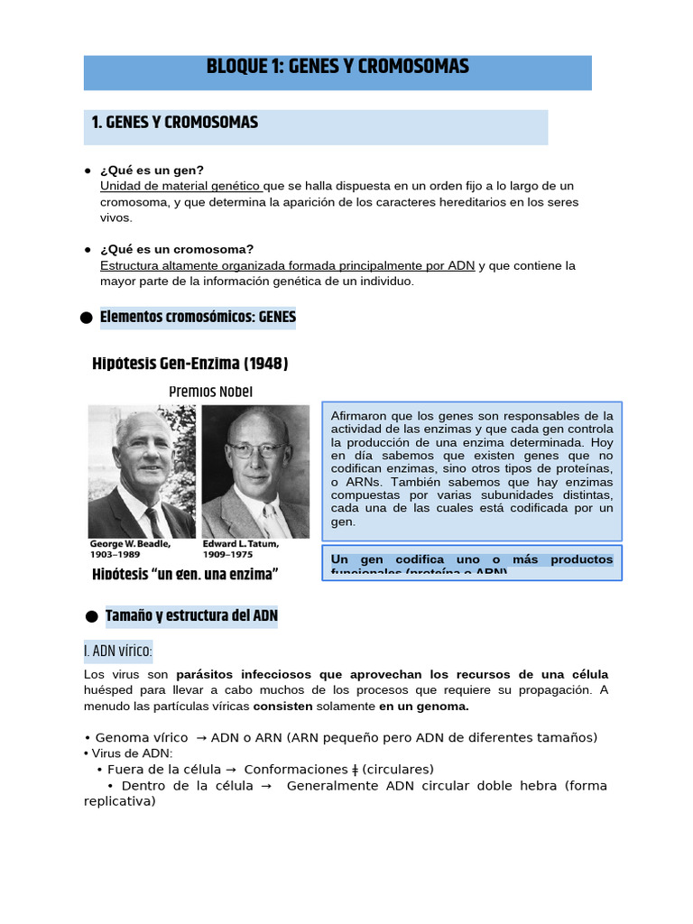 BLOQUE 1_ GENES Y CROMOSOMAS | PDF | Adn | Histona