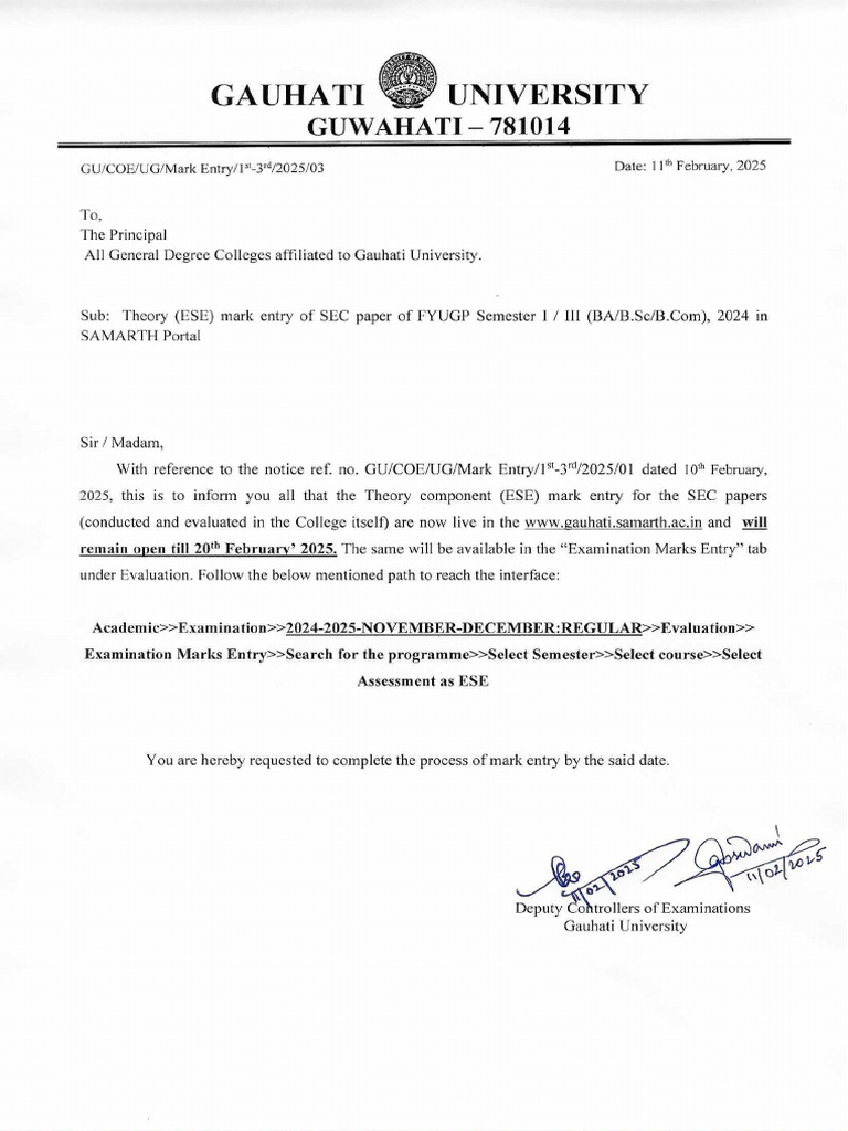 Sec Theory Mark Entry - Fyugp | PDF