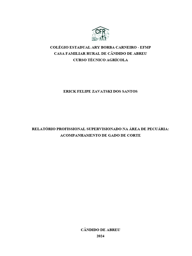 Relatorio Estagio Erick Felipe Versao Agosto 2024 | PDF | Aprendizado ...