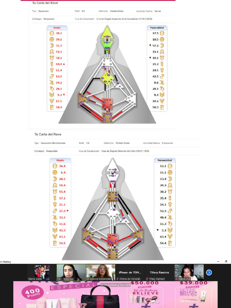 Human Designe | PDF