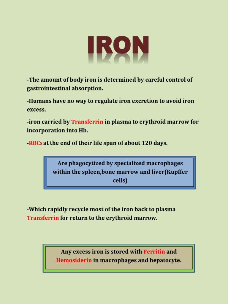Iron Regulation and Anemia Insights | PDF