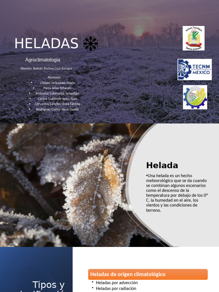 Tipos y Efectos de las Heladas | PDF | Clima | Herida
