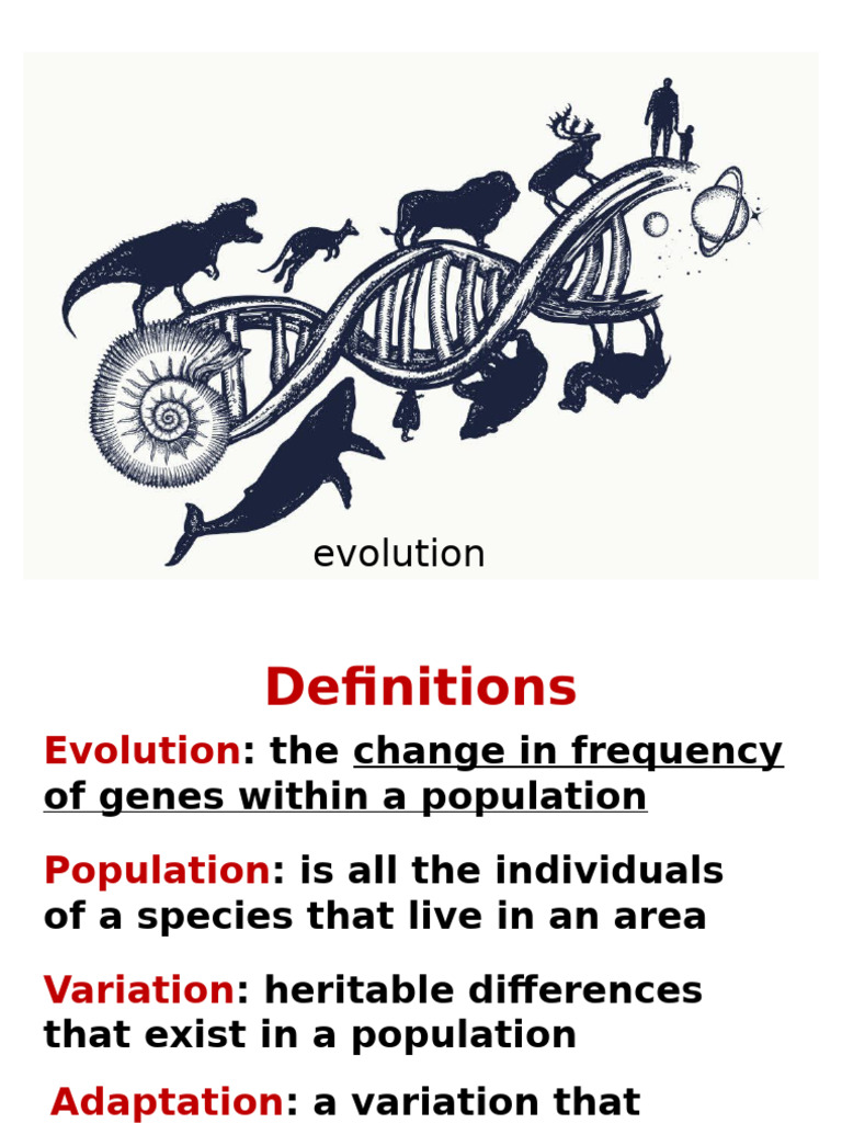 Evolution | PDF
