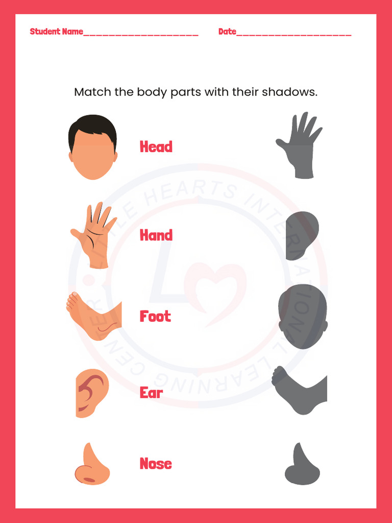Body Parts Shadow Matching Activity | PDF