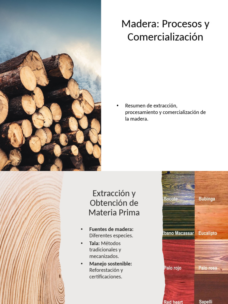 Presentacion_Maderas_FINAL | PDF | Madera | Pintar